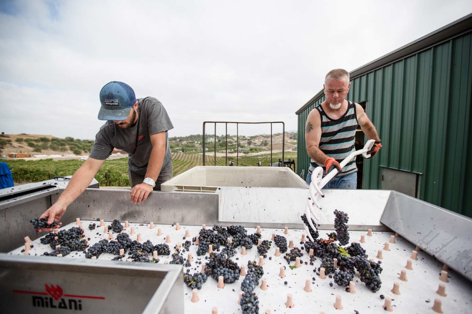 Our Story – Maple Shade Farm